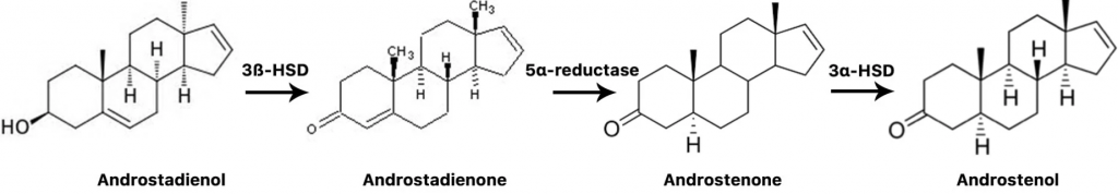MI A FEROMON? AZ EMBERI FEROMONOK MŰKÖDÉSE